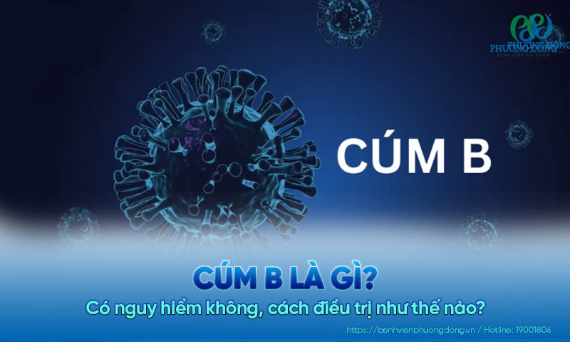 Cúm B là gì? Có nguy hiểm không, cách điều trị như thế nào?